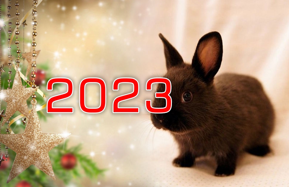 2023 წლის ზუსტი ჰოროსკოპი ვის გაუღიმებს ბედი წყლის შავი კურდღლის წელში